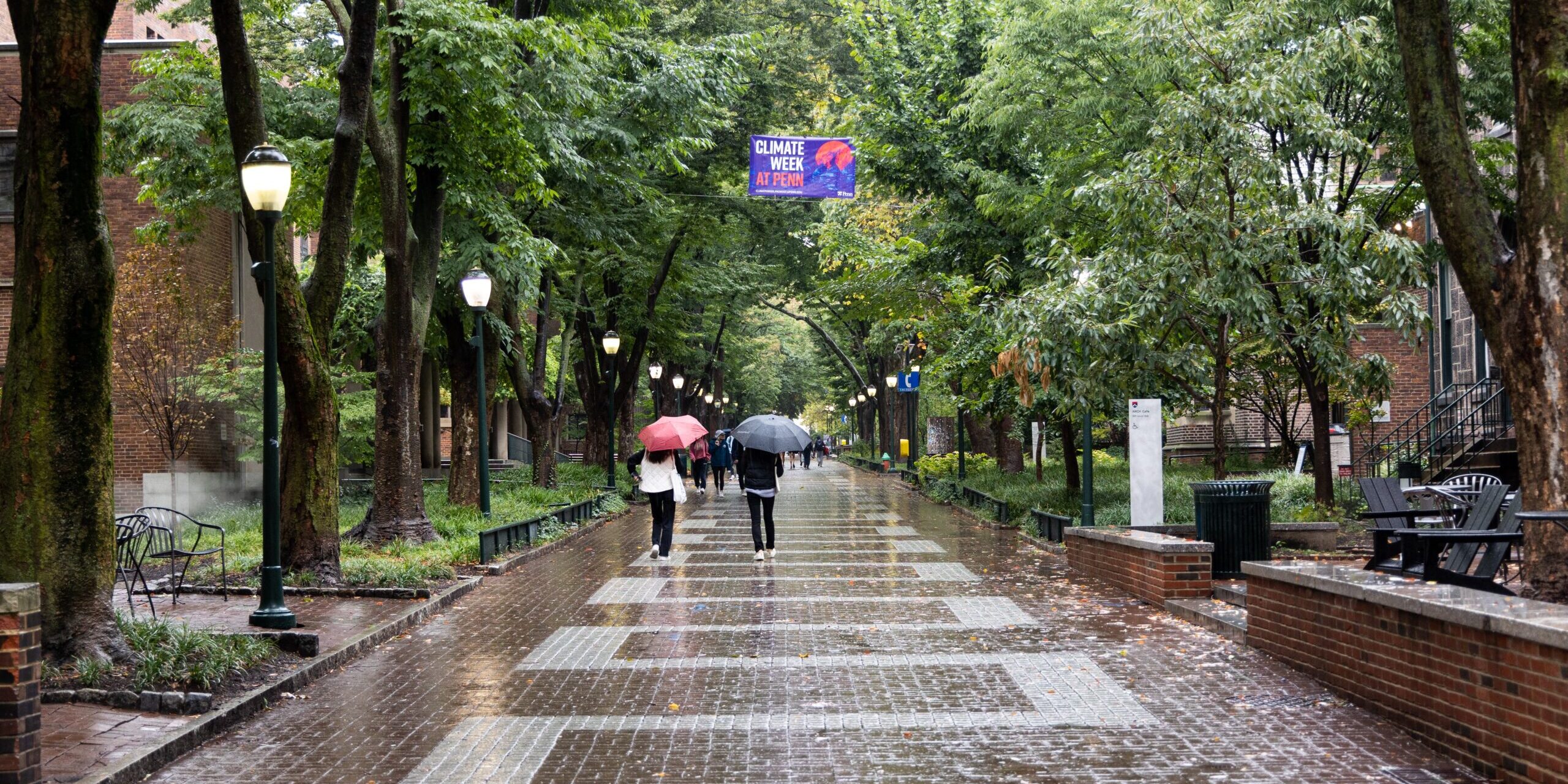 Christopher Drumm: Senator McCormick, please convene a Health Care and ...