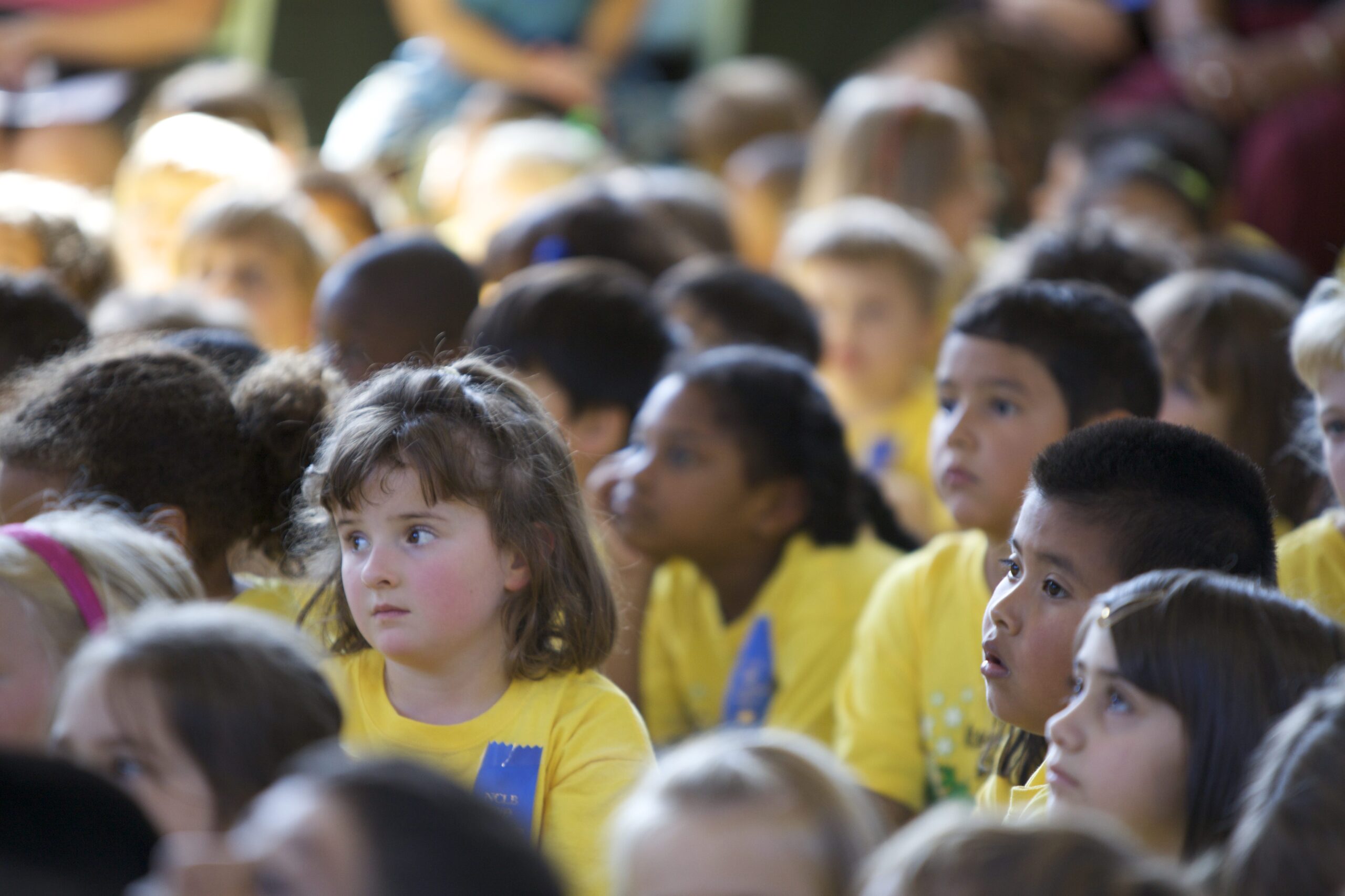 Beth Ann Rosica: $23K per student, but only one in three can read at ...