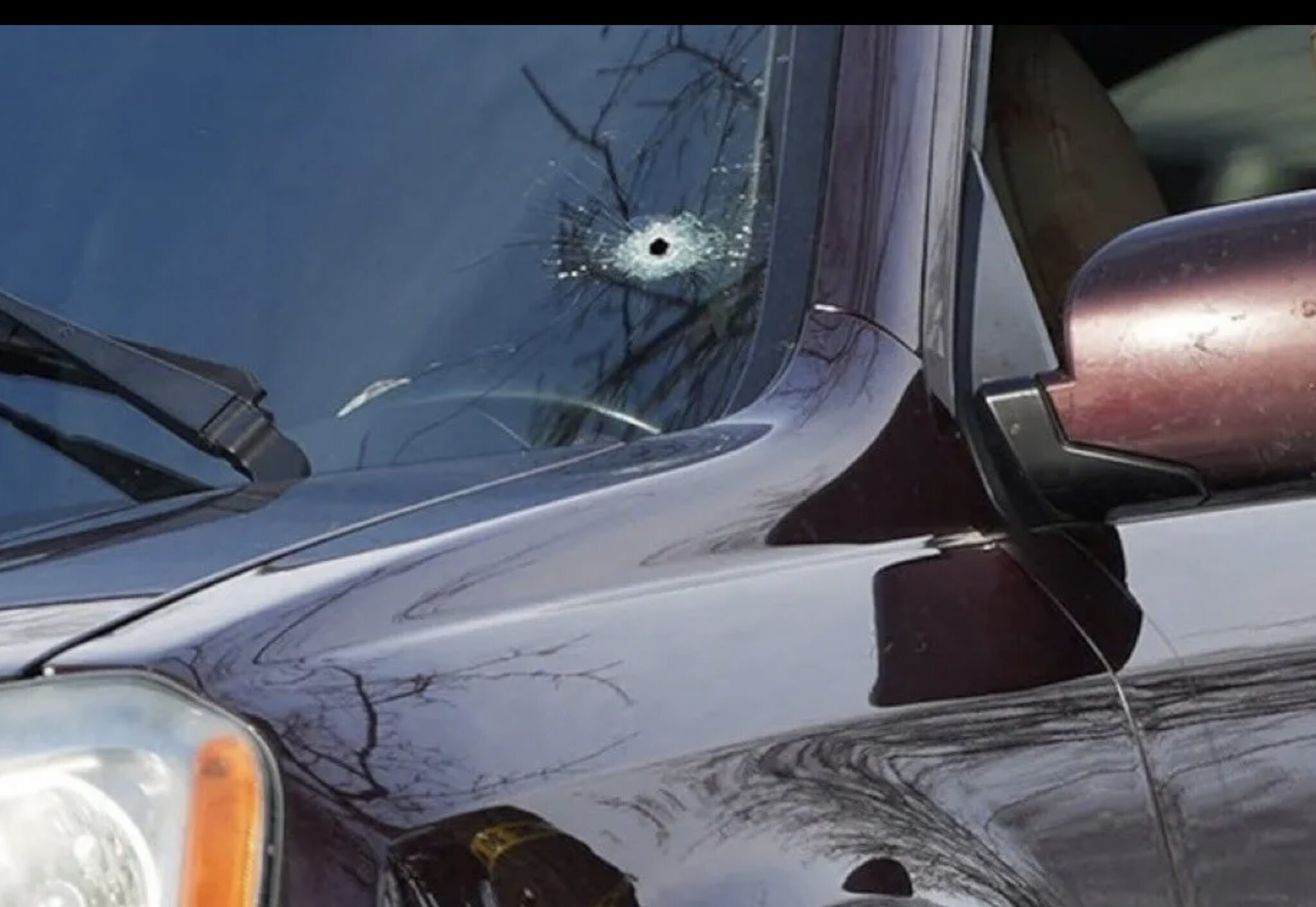 Howard Lurie: Renee Good was no 'domestic terrorist'